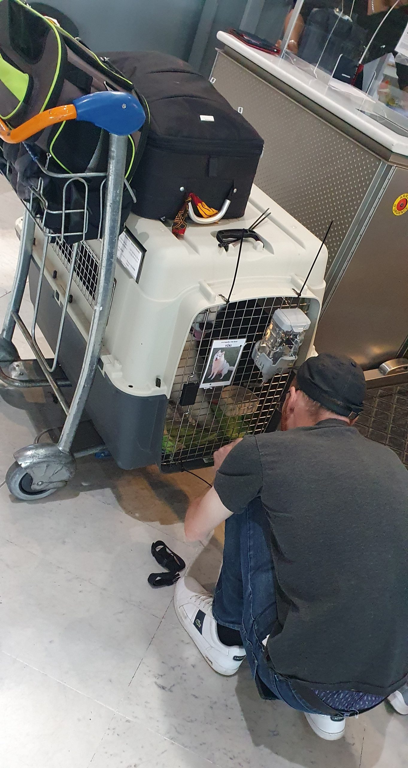 REX Immigration de Titi et Yûki de la France vers le Panama - My cabanas comes true